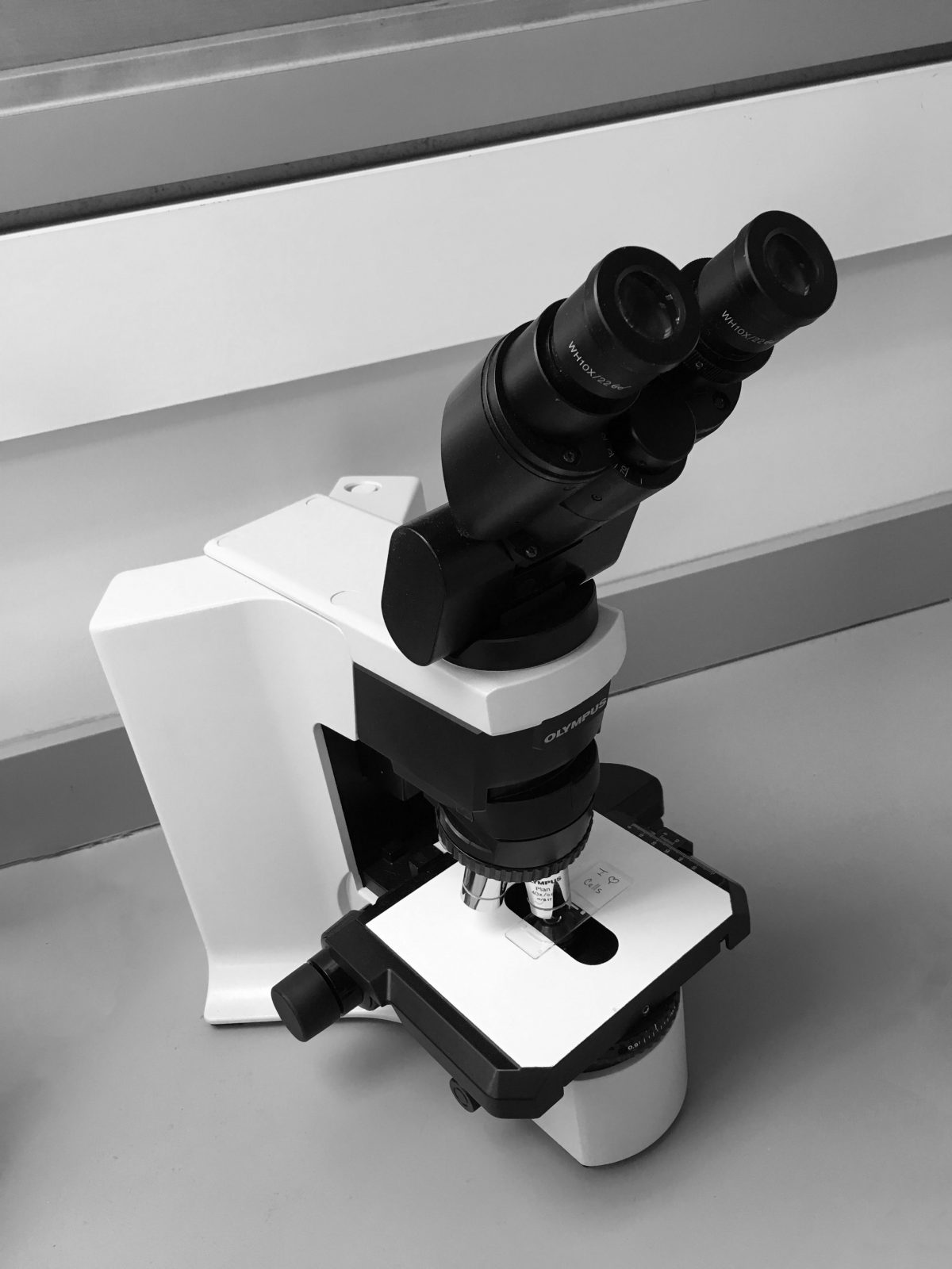 Cytotechnology Program – UW–Madison